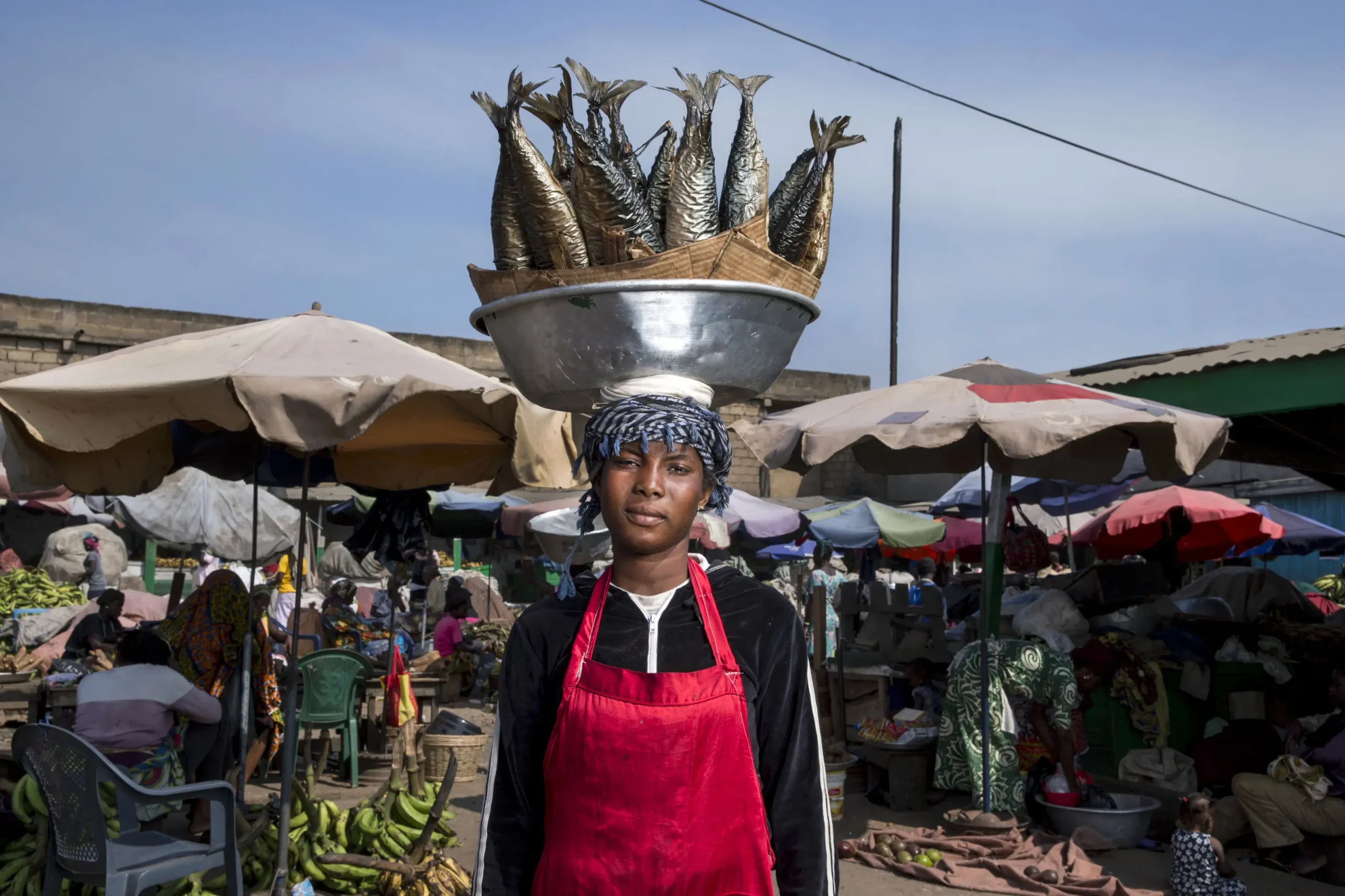 Epidemics That Didn't Happen | Resolve to Save Lives